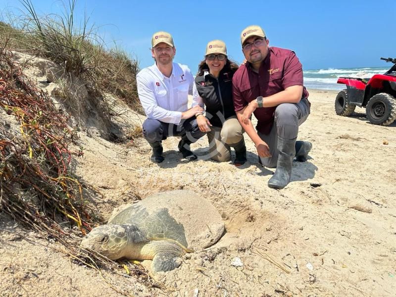 Fructifica trabajo del Gobierno de Tamaulipas para la conservación de ...
